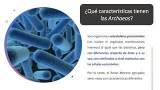 Organismos Del Reino Archaea