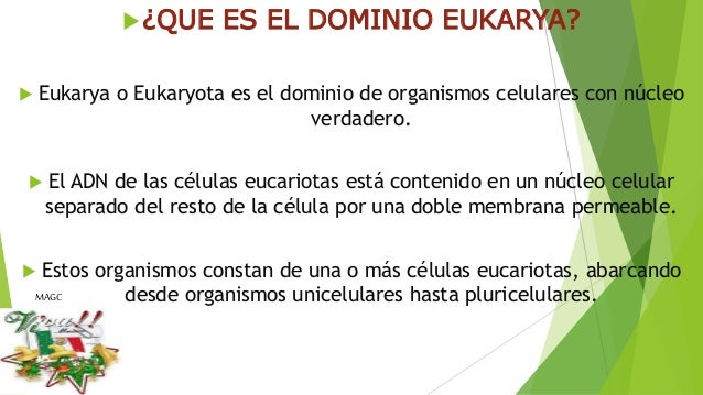 Dominio Eukarya