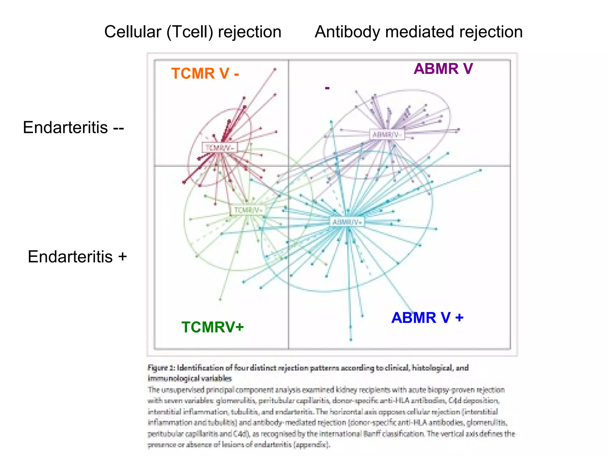 Allogeneicity and Immunogenicity of Stem Cell Therapy : a ...