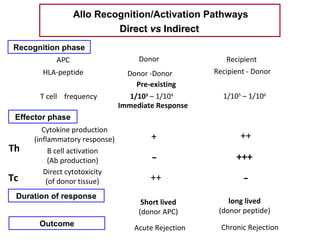 Allogeneicity and Immunogenicity of Stem Cell Therapy : a ...