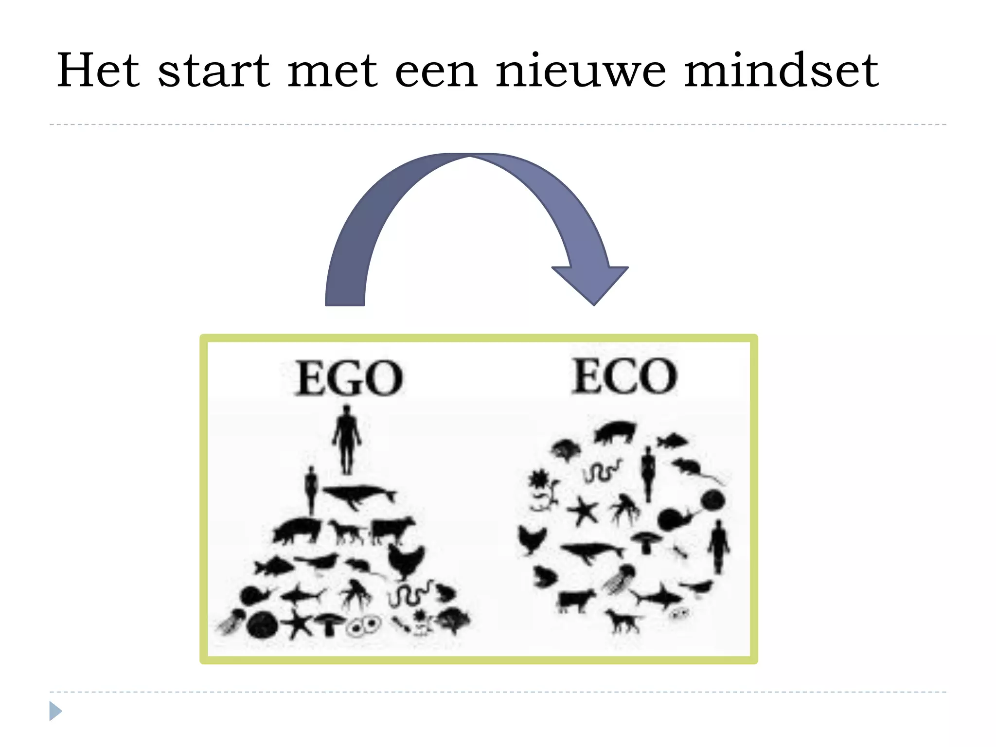 Dominique hermans en reinout wissenburg fair meter | PDF