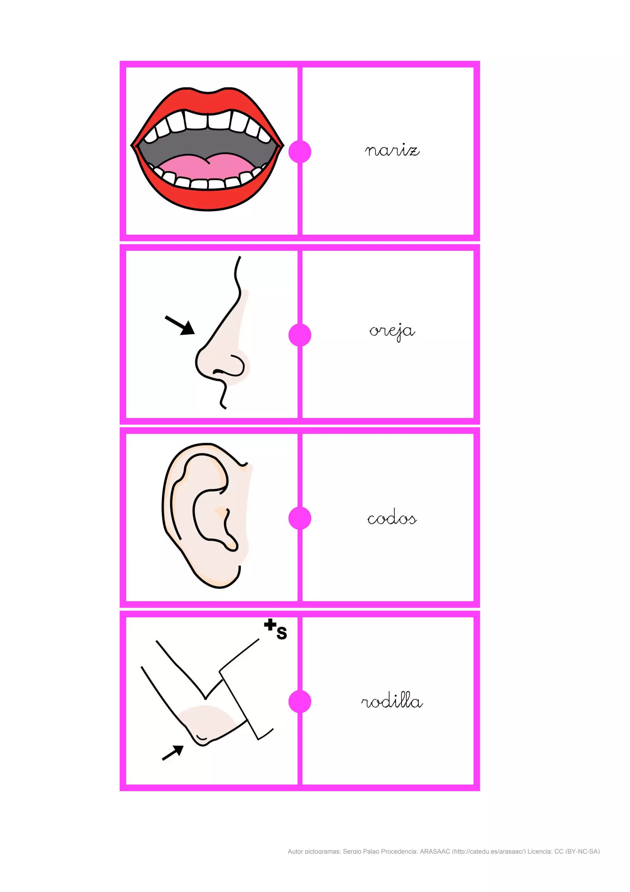 Dominó partes del cuerpo y articulaciones 2 | PDF