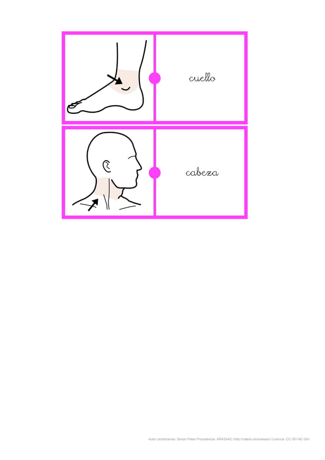 Dominó partes del cuerpo y articulaciones 2 | PDF