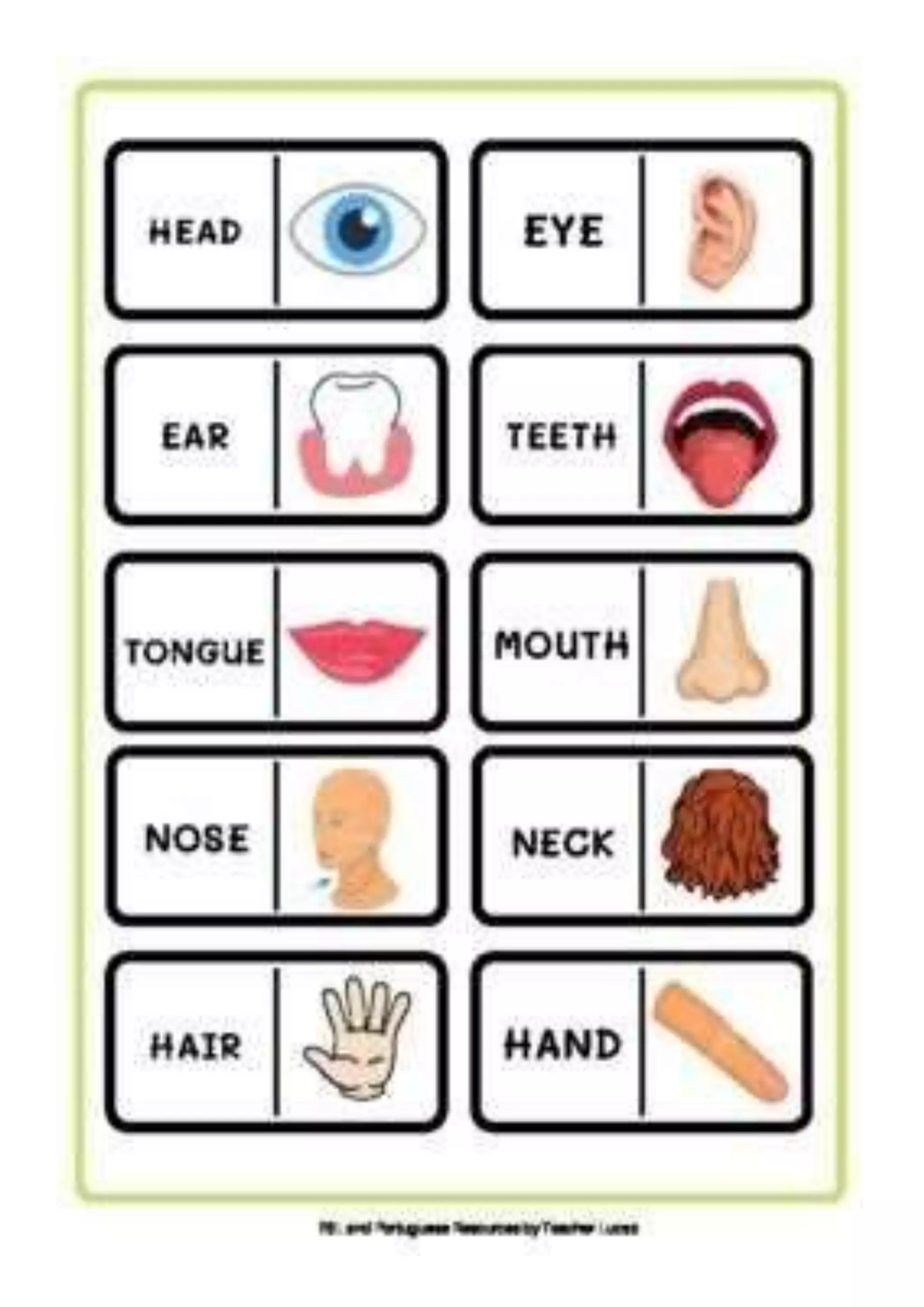 domino partes do corpo em ingles.docx