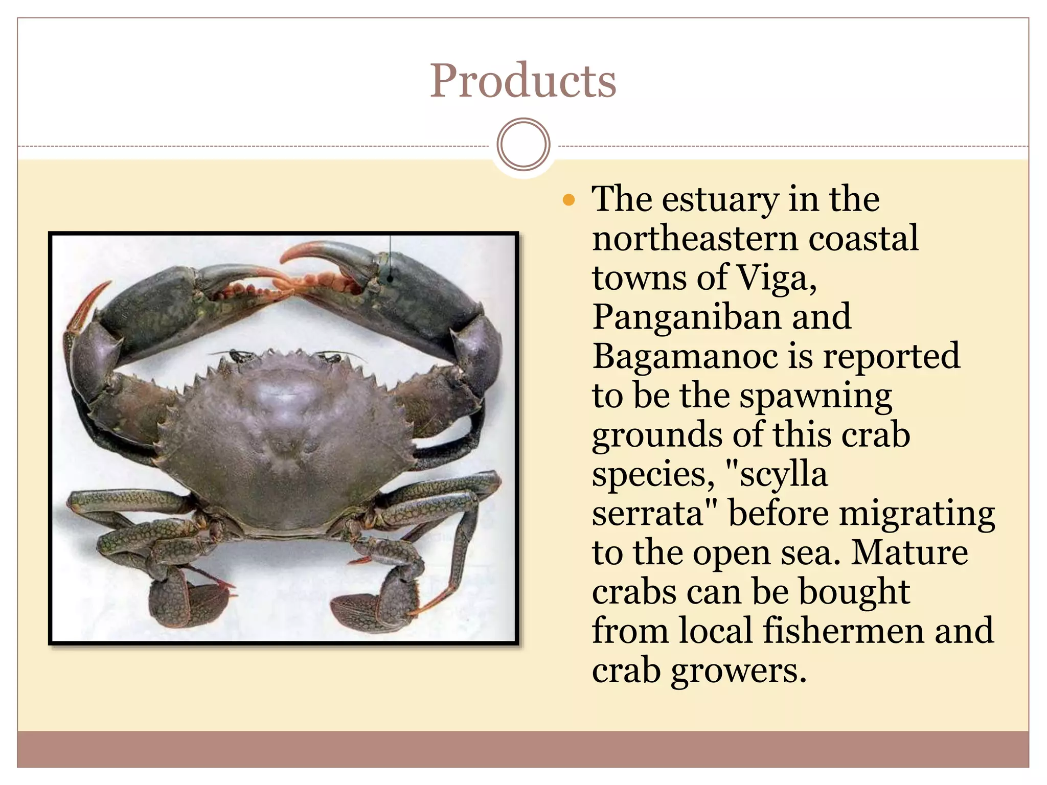 Region 5 - Bicol Region Philippines | PPTX