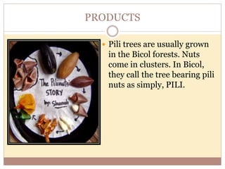 Region 5 - Bicol Region Philippines | PPTX