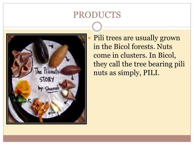 Region 5 - Bicol Region Philippines | PPTX