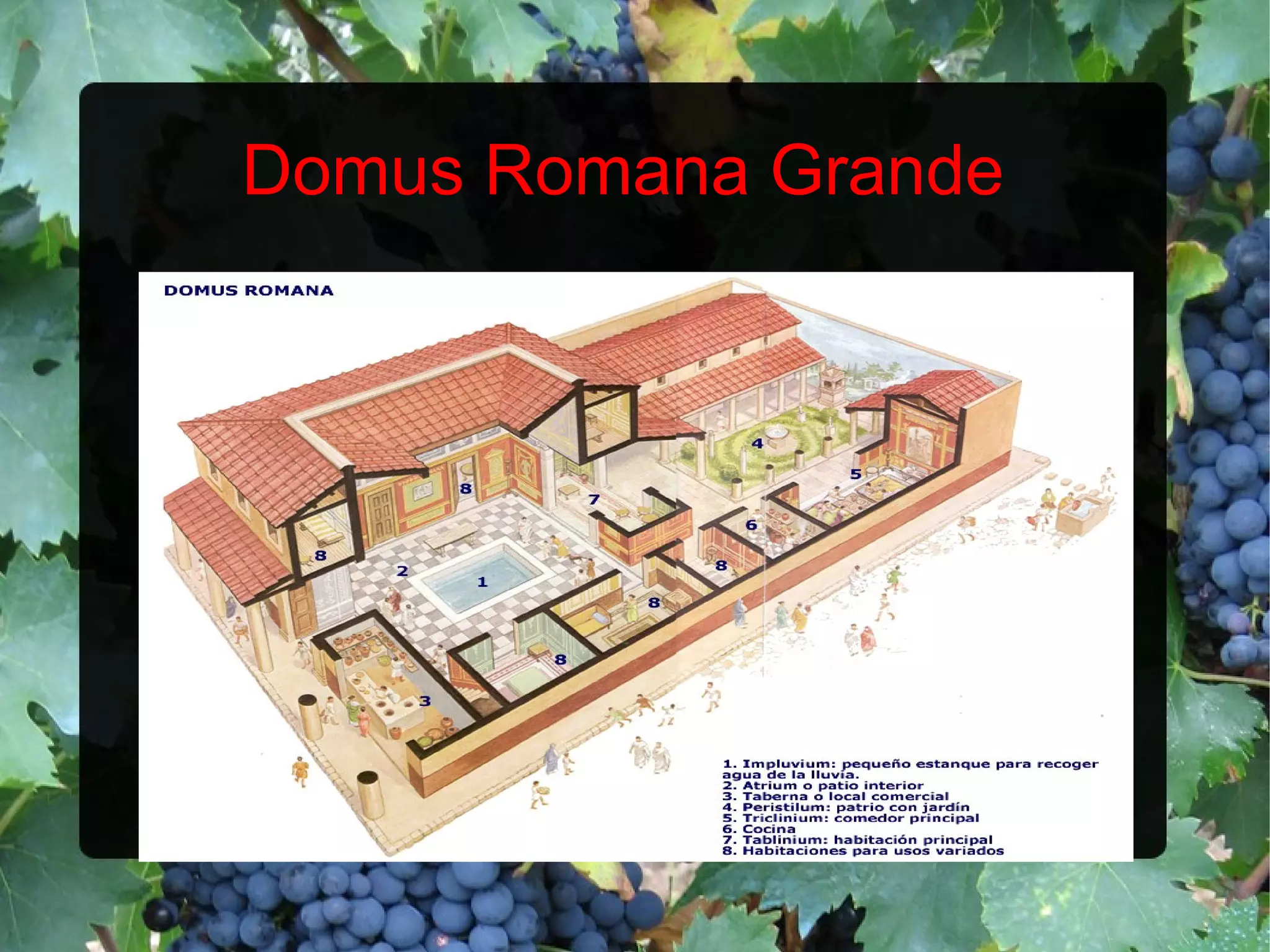 Domus romana | ODP