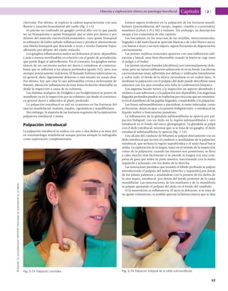 DONADO_CIRUGIA_BUCAL_Patologia_y_tecnica (1).pdf