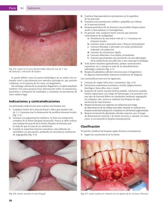 DONADO_CIRUGIA_BUCAL_Patologia_y_tecnica (1).pdf