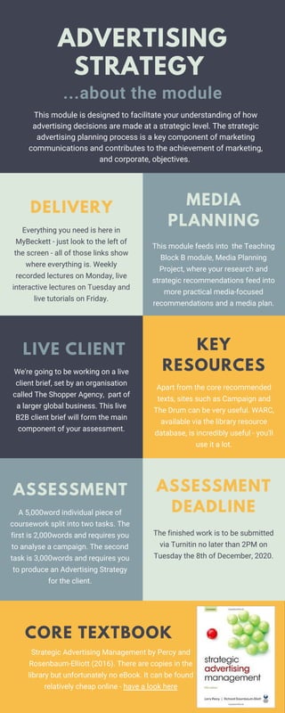 Advertising Strategy Overview | PDF