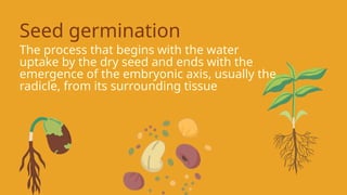 Seedgermination.pptx jddjdjjddnsnjsjsnsn | PPT