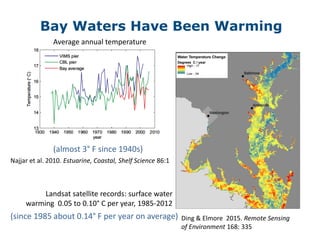 Donald Boesch Blue Planet Forum Presentation | PPT