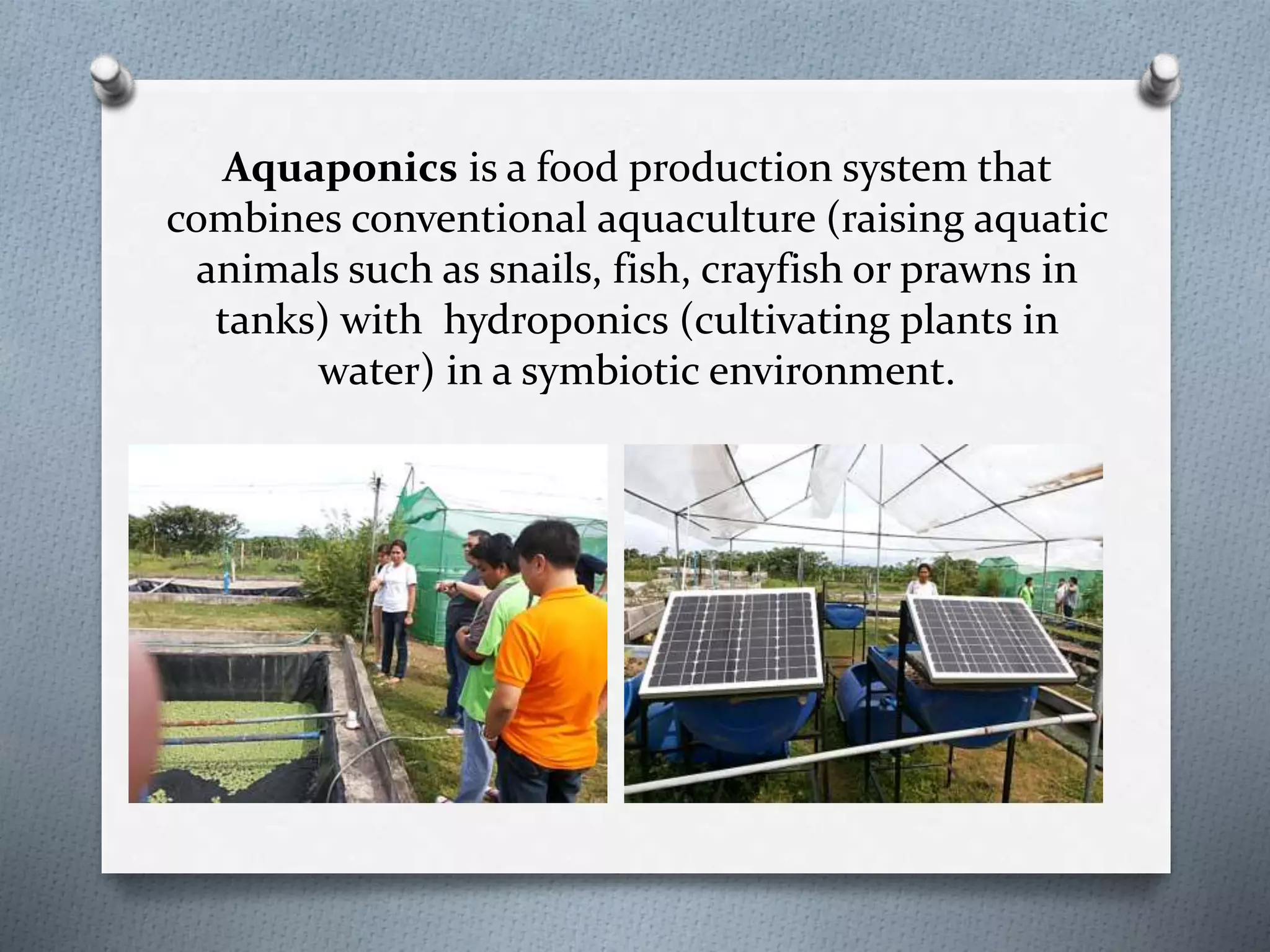 Don Bosco - Calauan, Laguna | PPTX