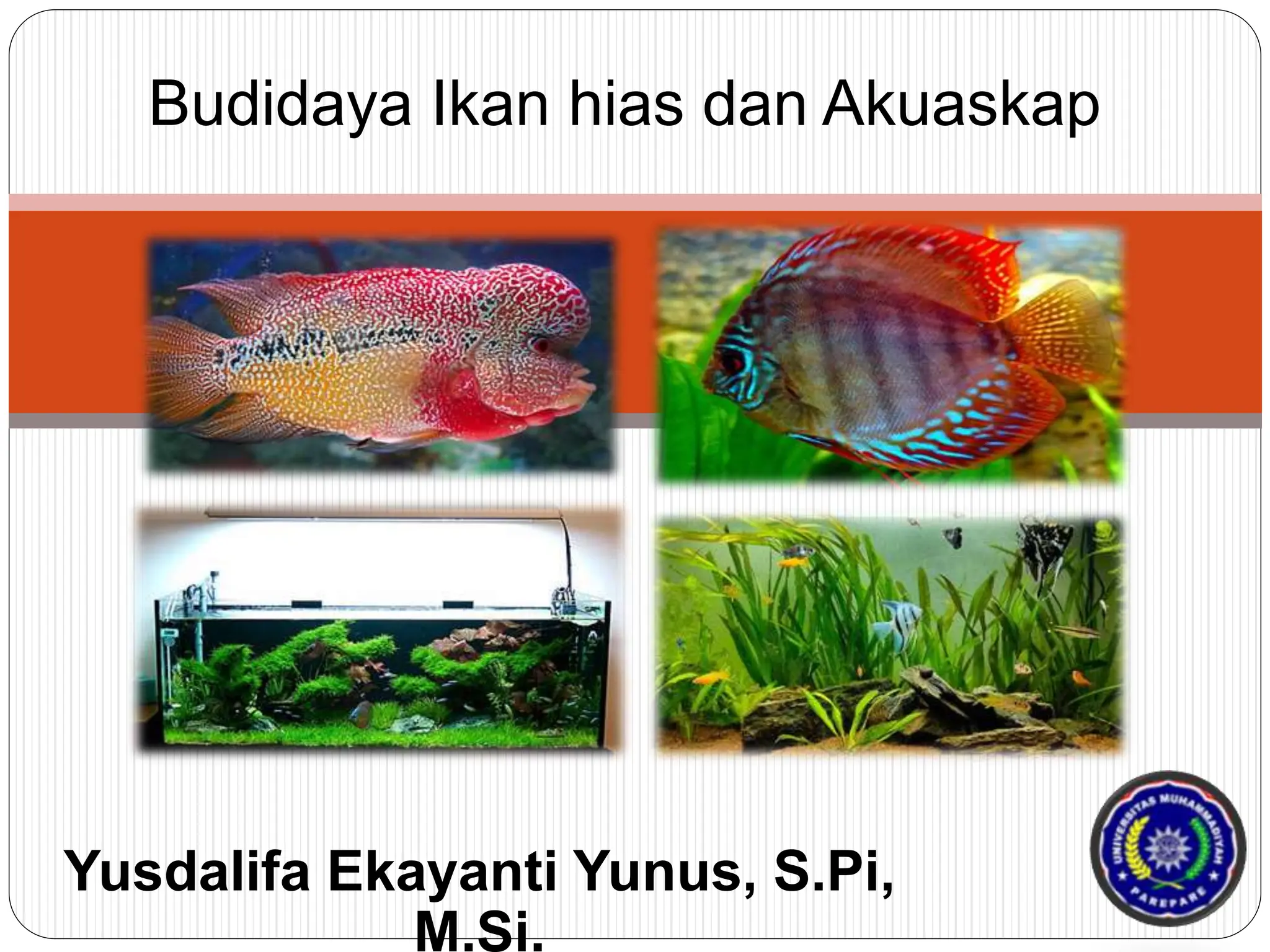 (done) BUDIDAYA IKAN HIAS DAN AKUASKAP.pptx