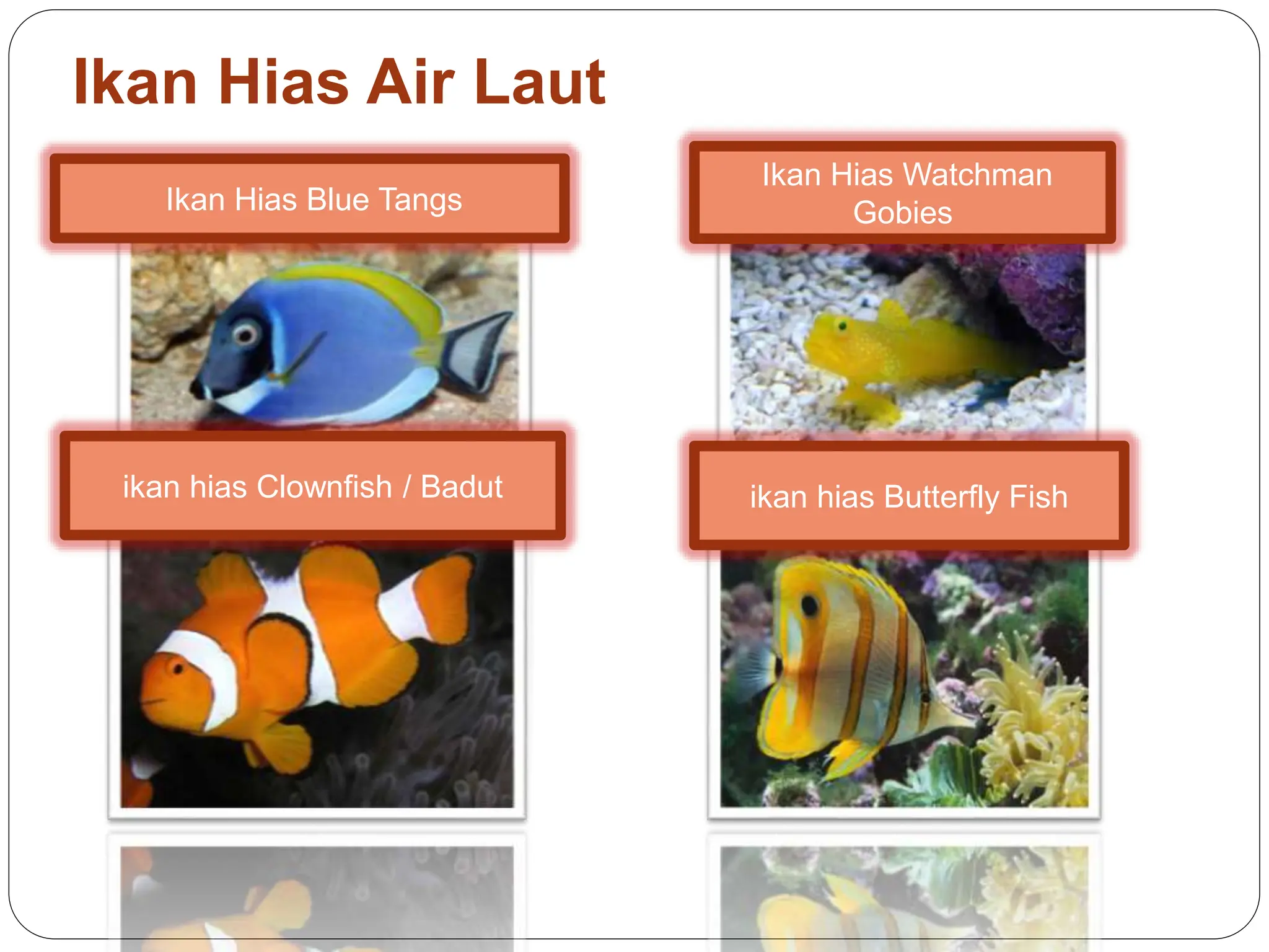 (done) BUDIDAYA IKAN HIAS DAN AKUASKAP.pptx