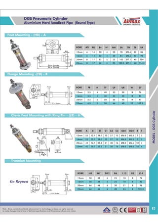 DGS Pneumatic Cylinder | PDF | Physics | Science