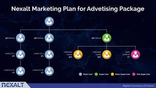Nexalt Business Presentation PDF | PDF