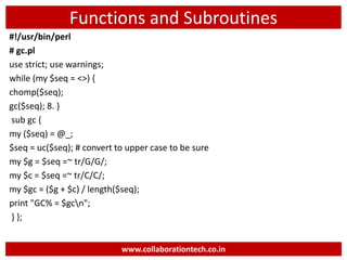 Introduction To Perl Programming | Ppt