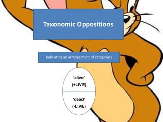 COMPONENTIAL ANALYSIS AND CONTRAST OF MEANING | PPTX