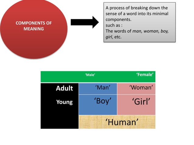 COMPONENTIAL ANALYSIS AND CONTRAST OF MEANING | PPT