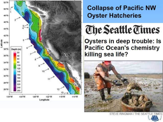 Scott Doney's Ocean Acidification presentation, April 2013 Hourglass ...