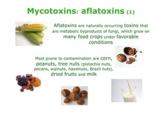 Environment & Food Safety | PDF