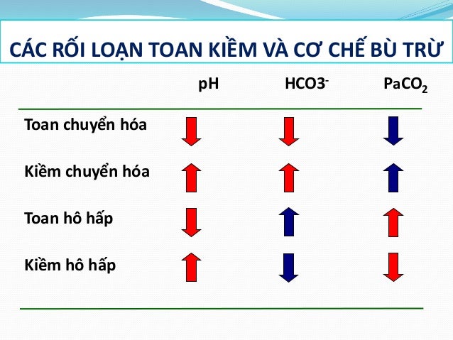 Rối loạn toan kiềm và Khí máu động mạch