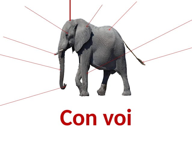 dong vat song trong rung.pptx tro chuyen ve con vat song duoi nuoc.ppt