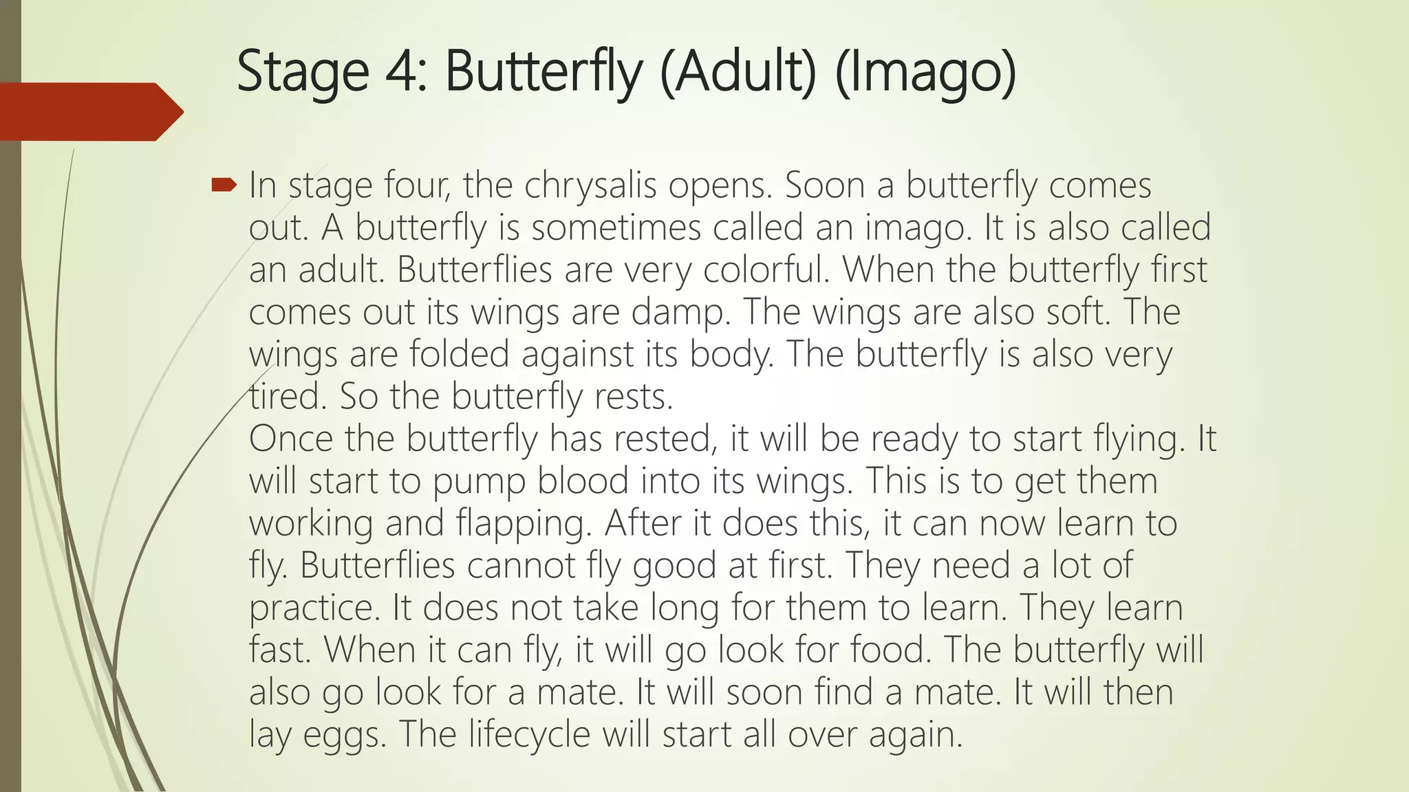 Doniella reyes h11 c act. 3 ppt | PPT