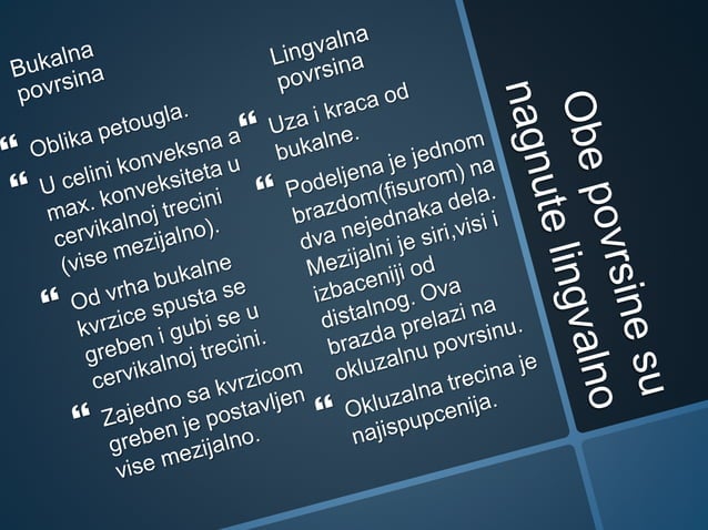 Morfologija donjih premolara | PPTX