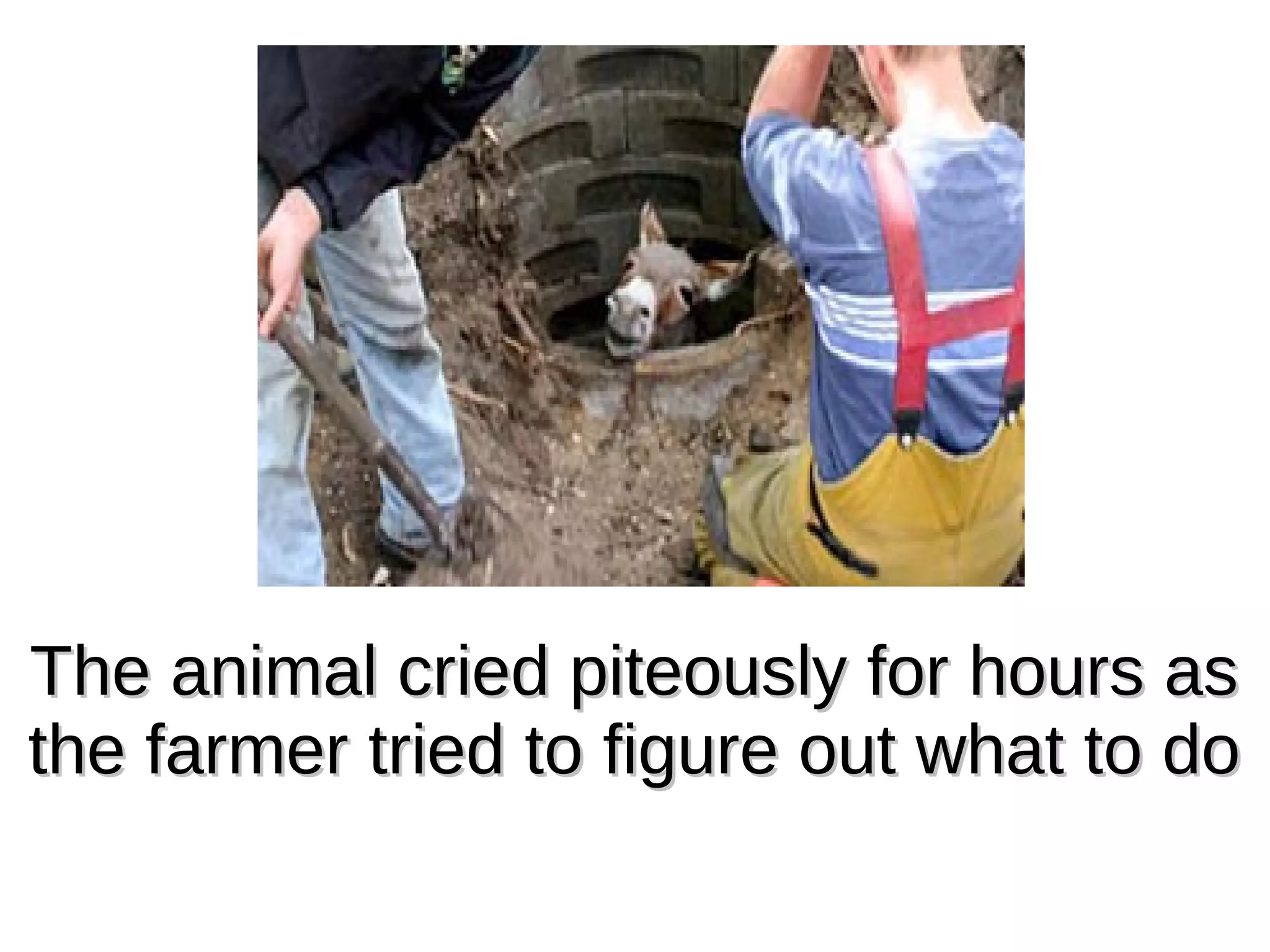 Donkey in the well, Shake it off and take a step up | ODP