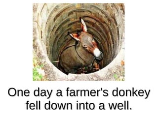 Donkey Fell Down