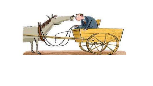 D onkey managamenet | PPT