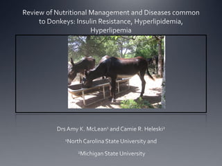 Donkeynutrition | PDF