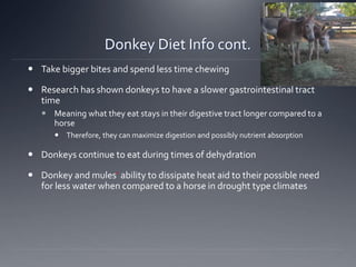 Donkeynutrition | PDF