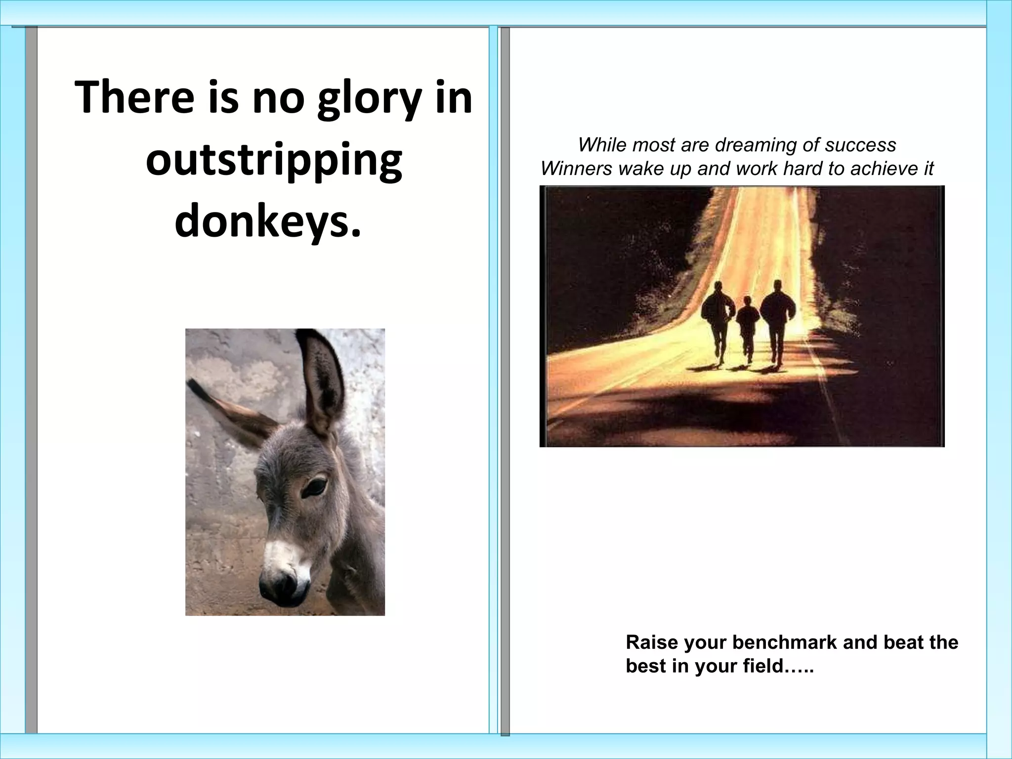 Donkeys | PPT