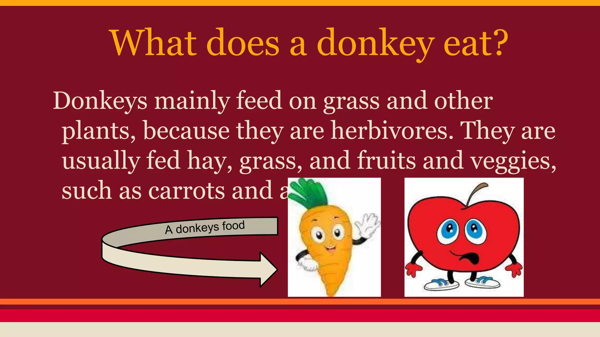 Donkeys presentation me and amy -) (1) | PPT