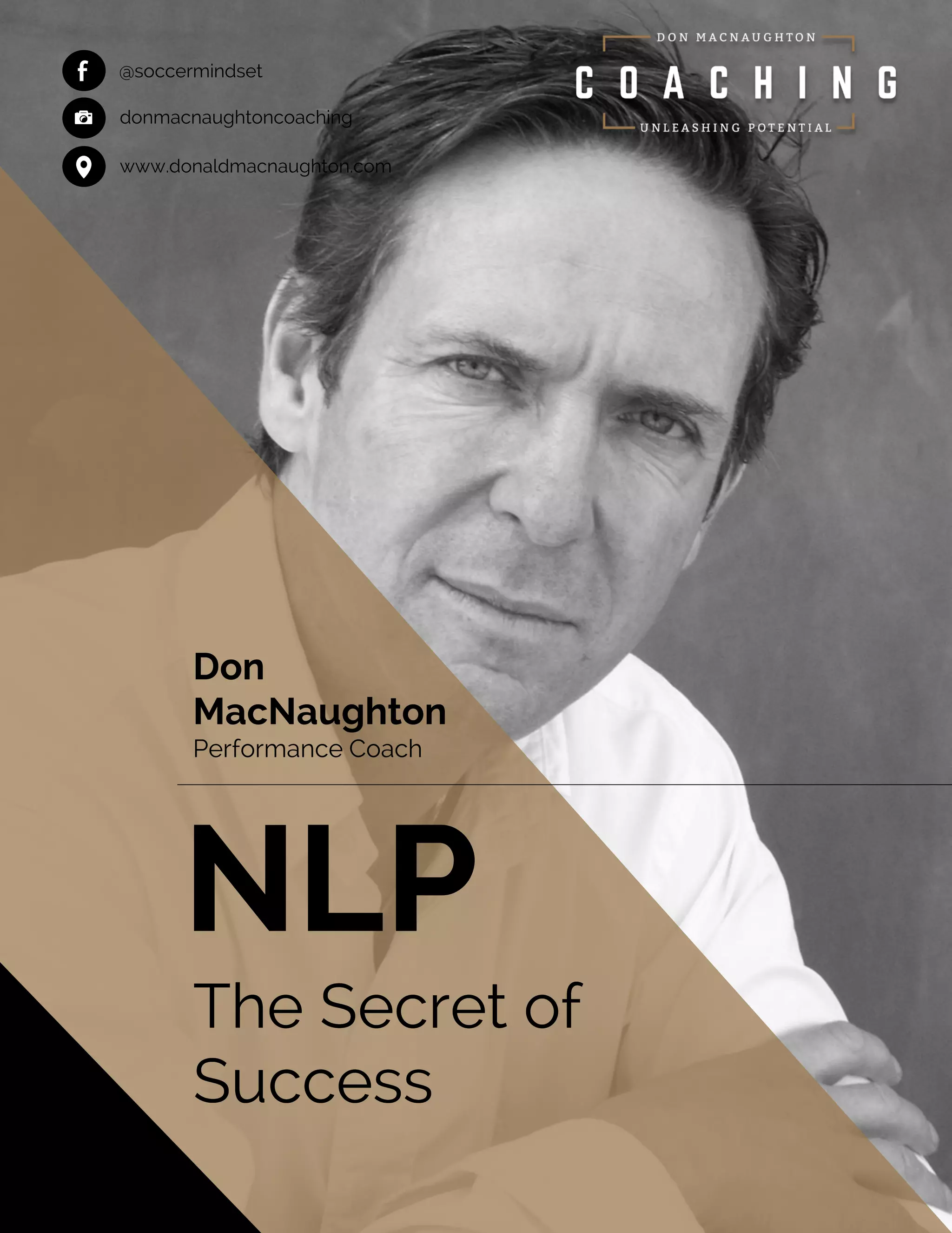 Nlp The Secret Of Success Pdf