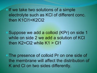 Donnans equilibrium and Bohar's effect (mushtaq ahmed and lippincott) biochemistry | PPTX