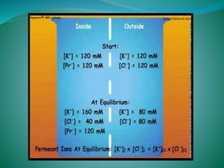 Donnans equilibrium and Bohar's effect (mushtaq ahmed and lippincott) biochemistry | PPTX