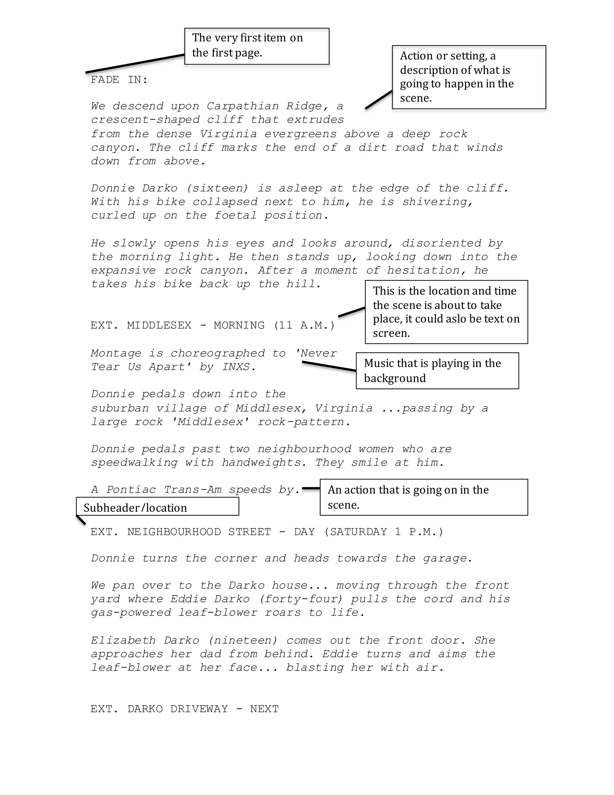 Donnie darko script | PDF