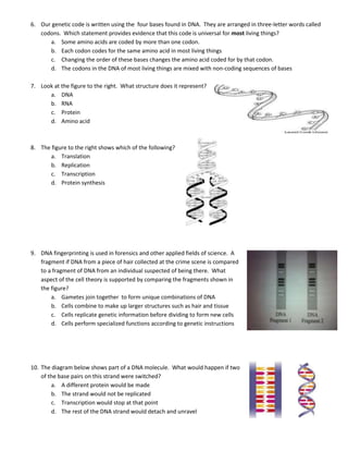 Donohue dna practice questions | PDF