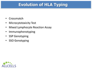 Donor HLA Typing 101 | PDF
