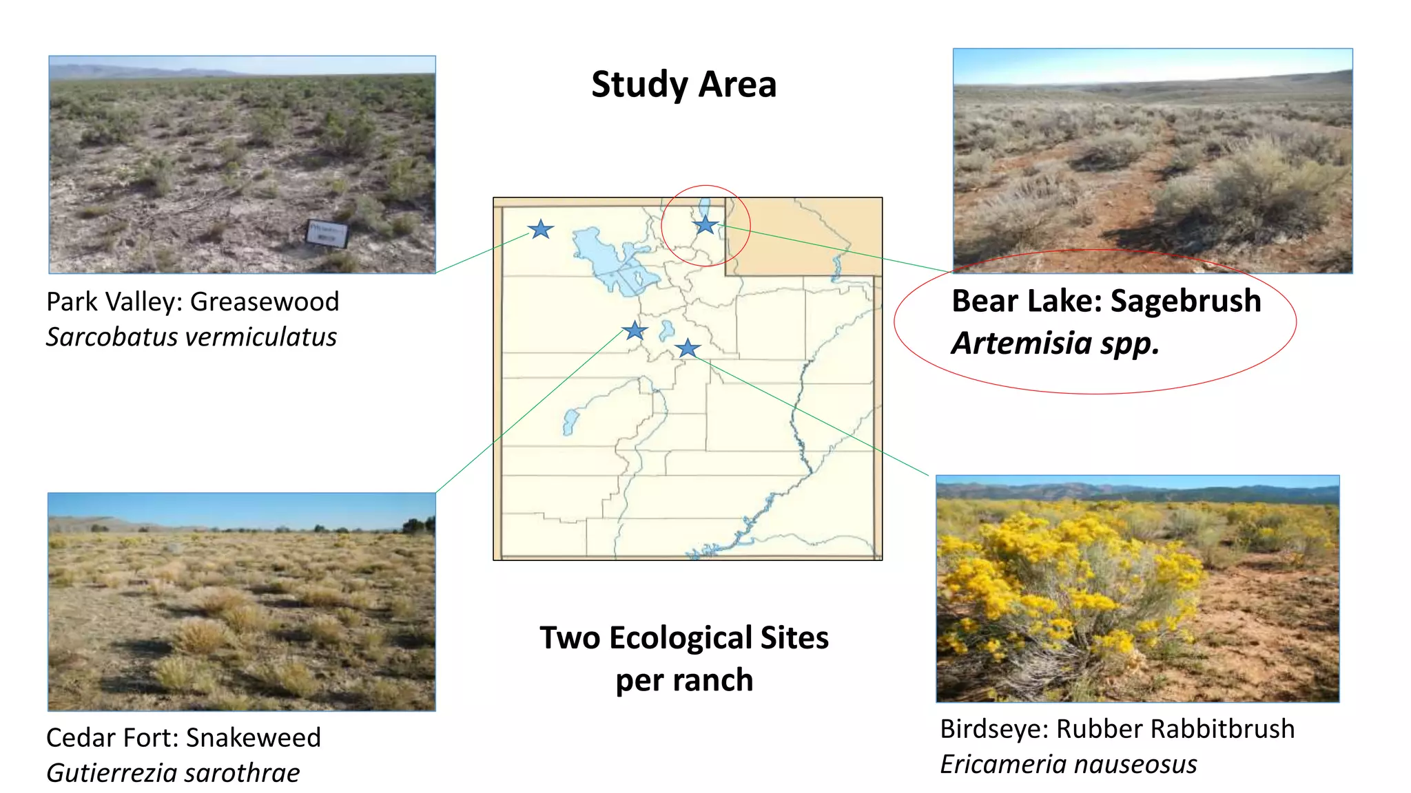Sagebrush Seedling Recruitment Following Tebuthiuron Application | PPTX