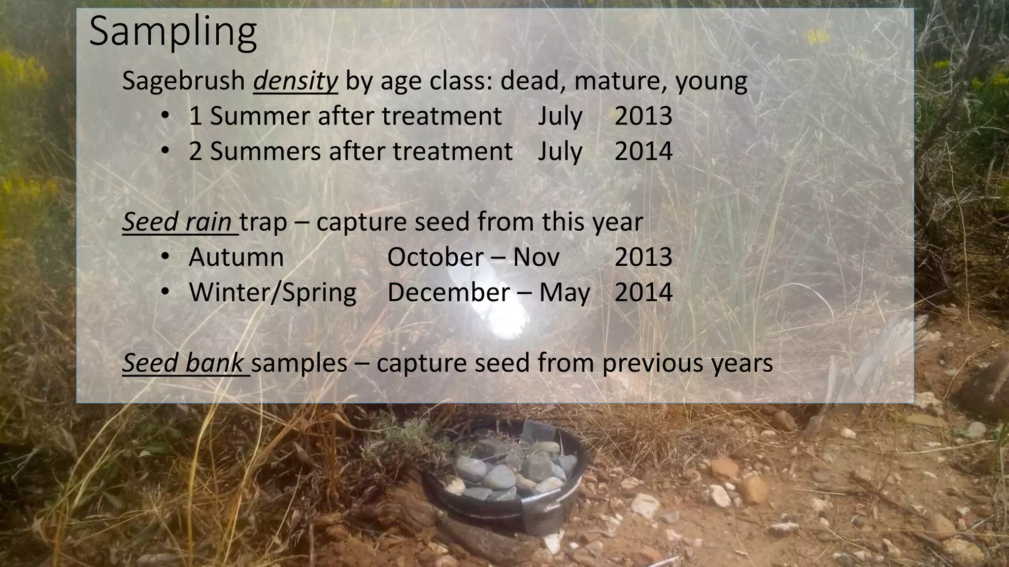 Sagebrush Seedling Recruitment Following Tebuthiuron Application | PPTX