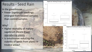 Sagebrush Seedling Recruitment Following Tebuthiuron Application | PPTX