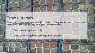 Sagebrush Seedling Recruitment Following Tebuthiuron Application | PPT