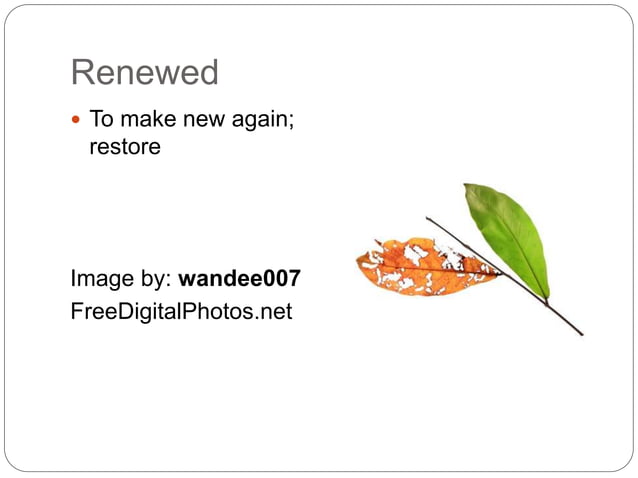 Don quixote chapter 8 vocabulary announcement | PPTX