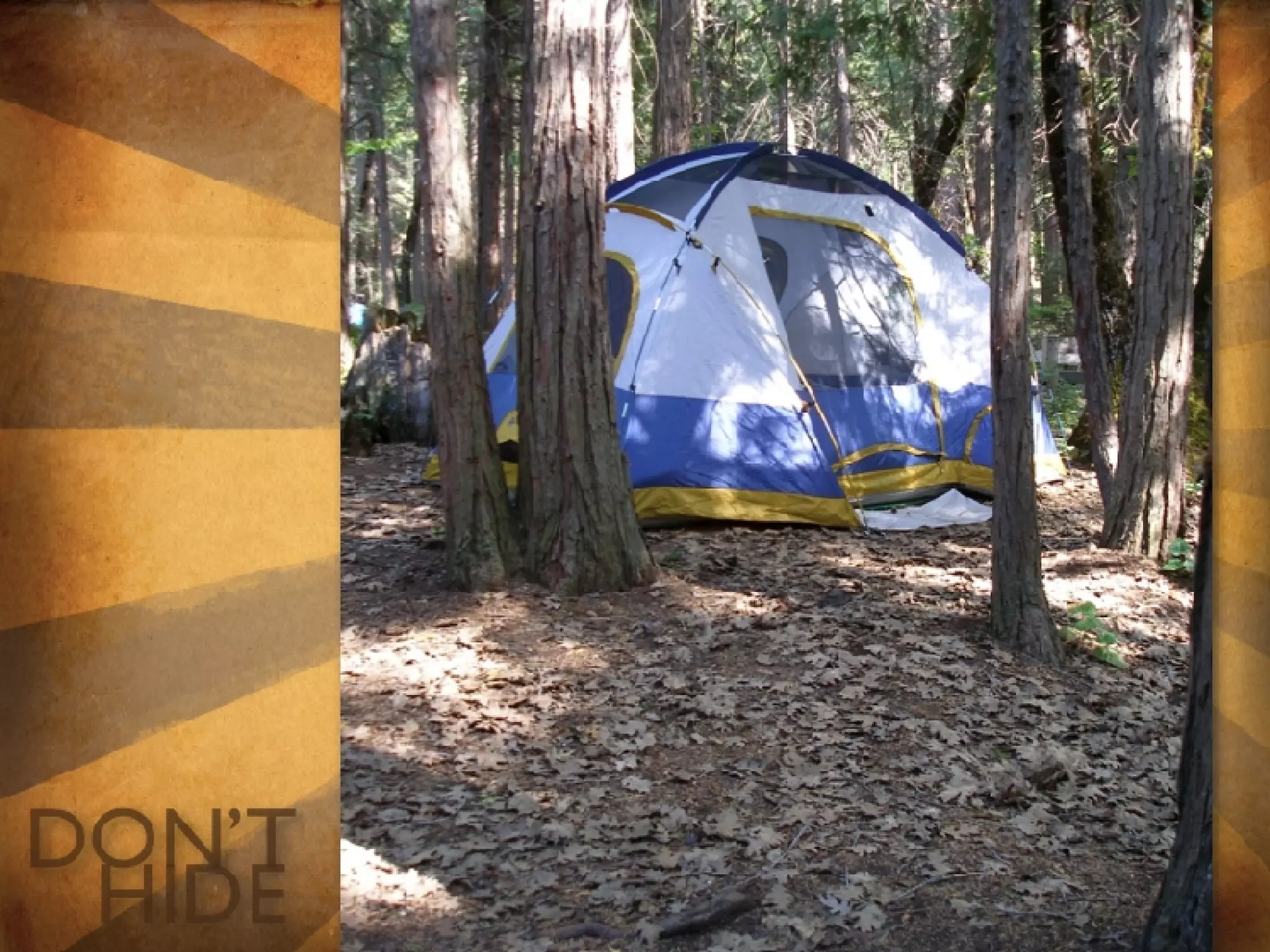 Don't Hide: Taking the Risks That Make Faith Real | PPT | Christianity ...